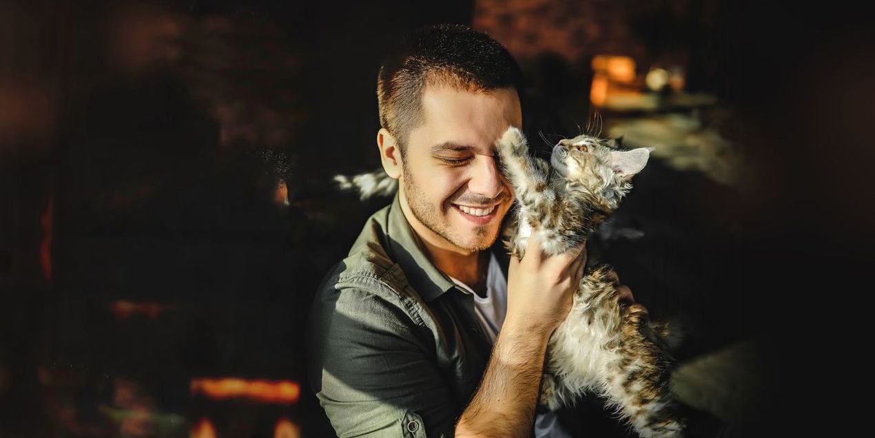 How To Protect Your Cat From Ticks - Felpreva Australia